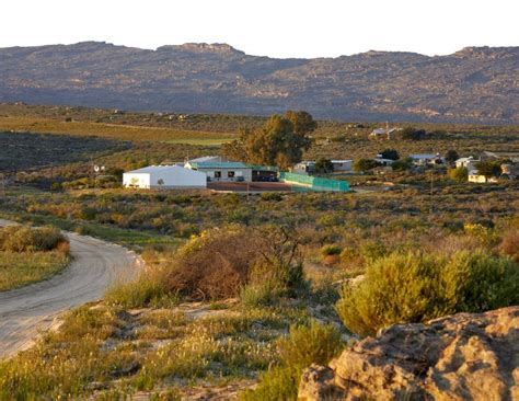 Carbon Net-Zero Rooibos Supplier | Klipopmekaar