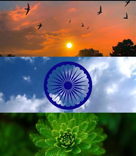Abhishek Raj On Linkedin Republicday Jaihind