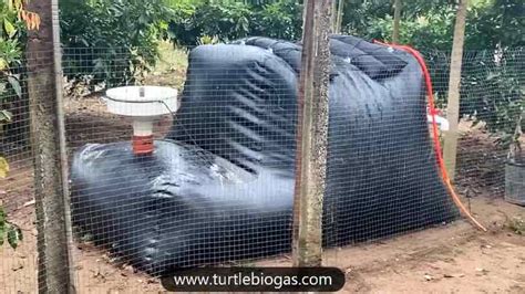 Small Home Biogas Plant Biodigester Toilet Biogas Plant System Buy Biogas Plant Biogas