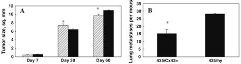 In Vivo Tumorigenicity And Metastasis A Orthotopic Tumor Size In Download Scientific Diagram