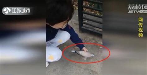 小区地下车库多只流浪猫遭“毒手”！背后问题引人深思腾讯新闻