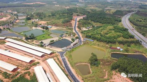 佛山高明肇庆高要跨市农村路通了 澎湃号政务 澎湃新闻 The Paper
