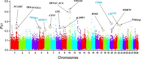 Genomic Manhattan Plot Of Population Differentiation By Fst West And Download Scientific