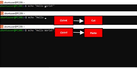 Zsh And Bash Refine