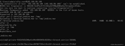 Linux Rz Sftp Window Put Rz Csdn