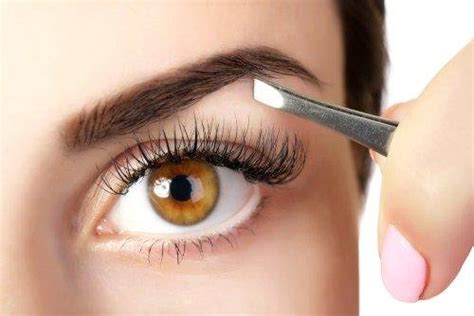 Épilation Des Sourcils 4 Techniques Et Styles Améliore Ta Santé
