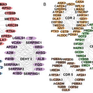 PPI Clusters Identified By MCODE Download Scientific Diagram