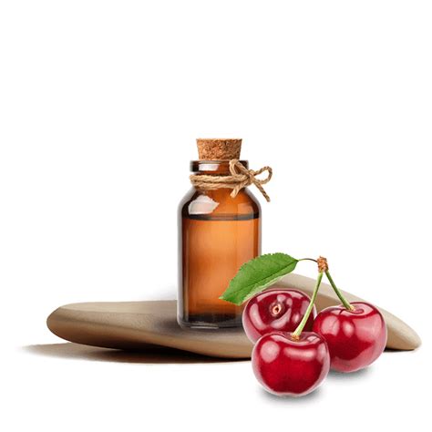 Cherry Dream Esansı Doğal Sabun Esansları Sabunaria