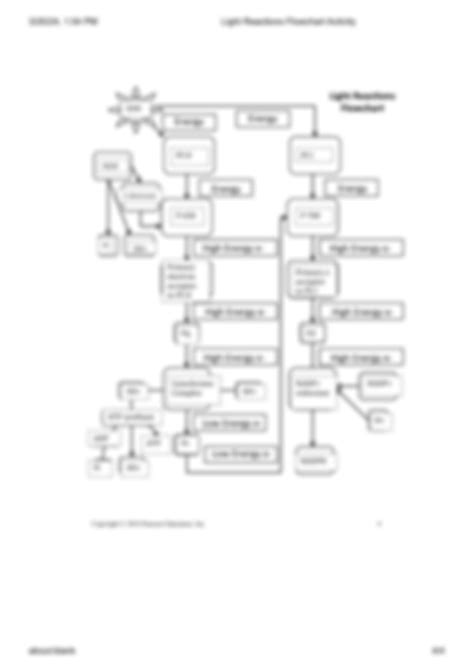 Solution Light Reactions Flowchart Activity Studypool