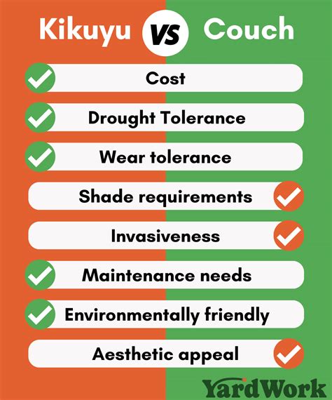 Kikuyu Vs Couch Differences And Quality Yard Work