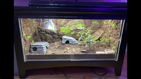 Converting A Dresser Into A Reptile Enclosure Youtube