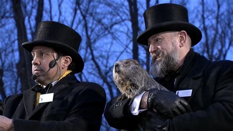 Video Punxsutawney Phil Makes Groundhog Day Prediction Abc News