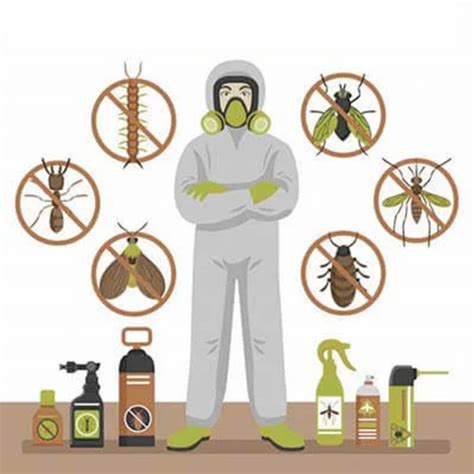 Flies Control Services At Rs 3sq Ft In New Delhi Id 2850660553788