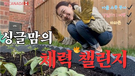 🇨🇦 이번 한 주 미쳤다🔥 캐나다 시골사는 싱글맘 행복하게 사는 비결 Youtube