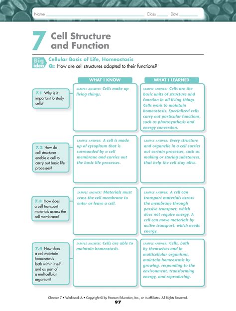 Workbook Answer Key 7 1 And 2 Chapter 7 • Workbook A • Copyright