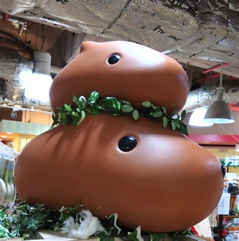 カピバラさん Aohibiki日記