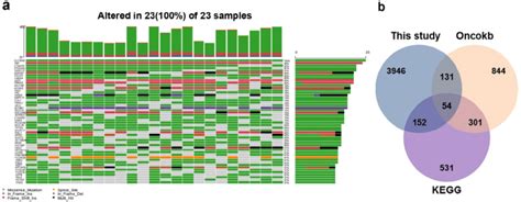 Landscape Of Mutations In Patients Ptcs A Mutational Landscape Of The Download Scientific