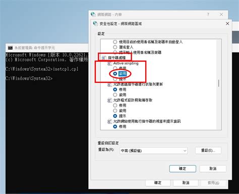vpn啟用瀏覽器javascript及cookie設定 資訊中心