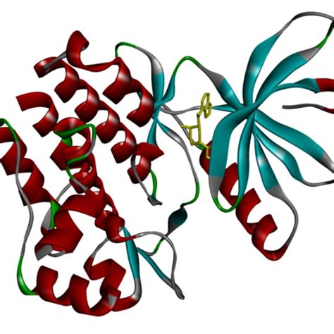 protein 3d structure of jak3 obtained from pdb pdb id 3lxk