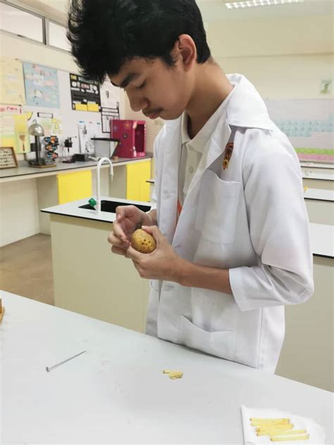 Exploring Osmosis Rafflesia International Babe Kajang