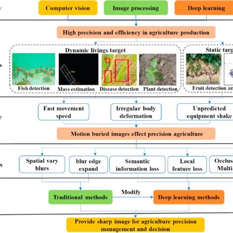 computer vision and motion deblurring technology application