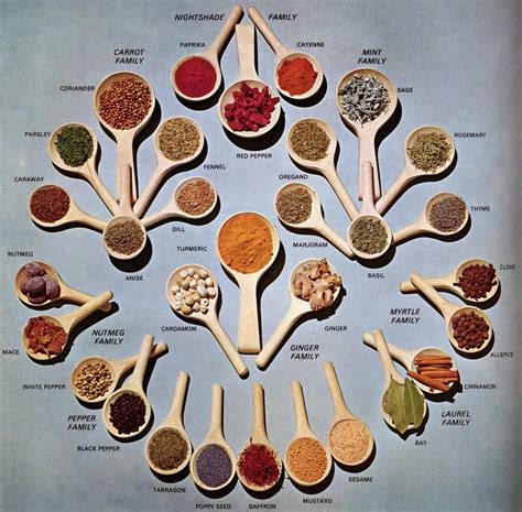10 Delicious Herbs And Spices With Powerful Health Benefits Nutrixia