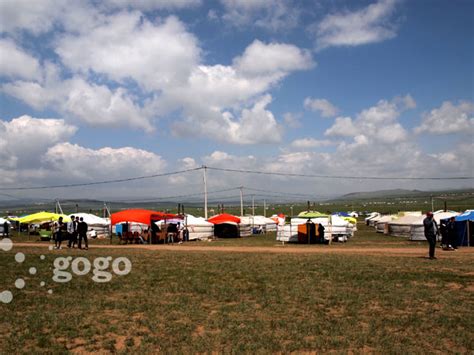 Наадмын хуушуур 800 амьд хонь 220 мянга