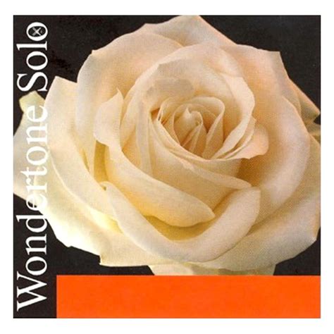 Pirastro Wondertone Violin String Set Gear4music