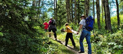 Энэ зун явган аялалд гарах 5 шалтгаан