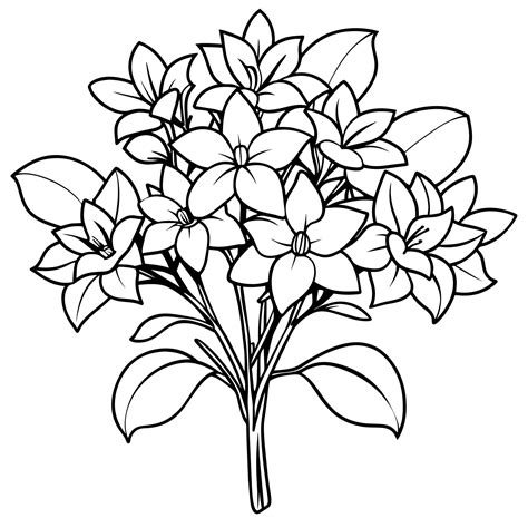 Jasmin Fleur Bouquet Contour Illustration Coloration Livre Page