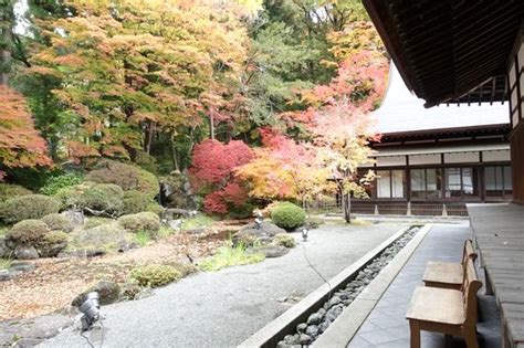 慈雲寺の御朱印と境内の様子はアクセス方法と駐車場は下諏訪のパワースポット 歩いてみたブログ
