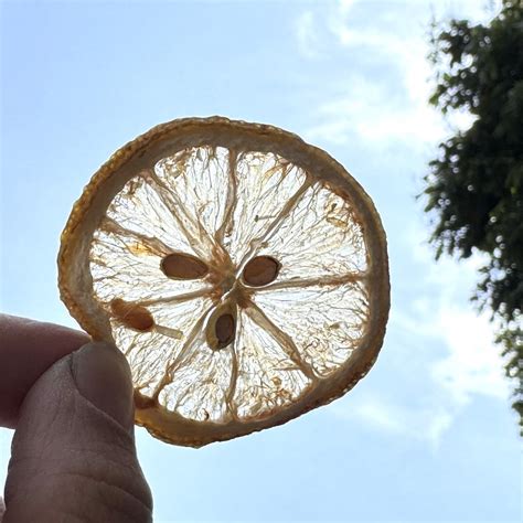 【自然甜堅果】檸檬乾，烘乾無糖，片片清香，適合泡茶使用 蝦皮購物