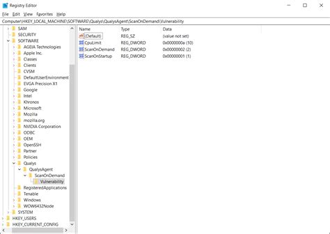 Force A Qualys Cloud Agent Scan The Silicon Underground