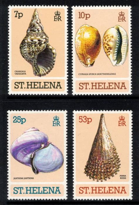 St Helena 1981 Sea Shells Scott 356 59 Sg 381 84 Mnh Worldwide South Atlantic Ocean St