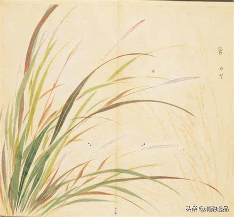 《诗经》美图100幅，温润人间草木情（珍品收藏）图片