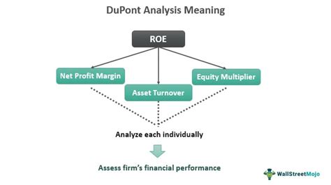 Dupont Analysis What Is It Examples Equation 3 Step And 5 Step