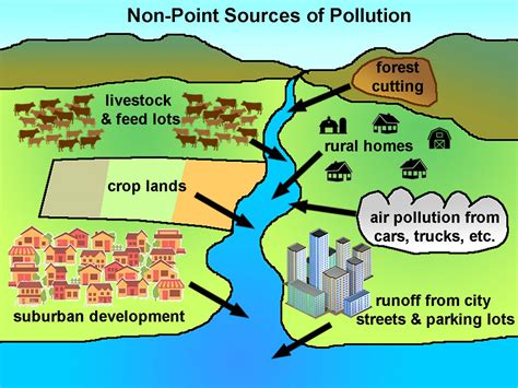 Point Source Pollution Examples Diagram