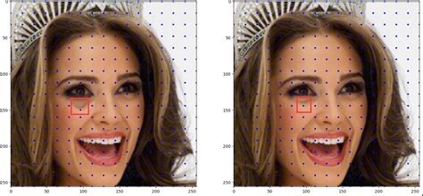 Torch Equivalent Of Skimage Transform PiecewiseAffineTransform Vision PyTorch Forums