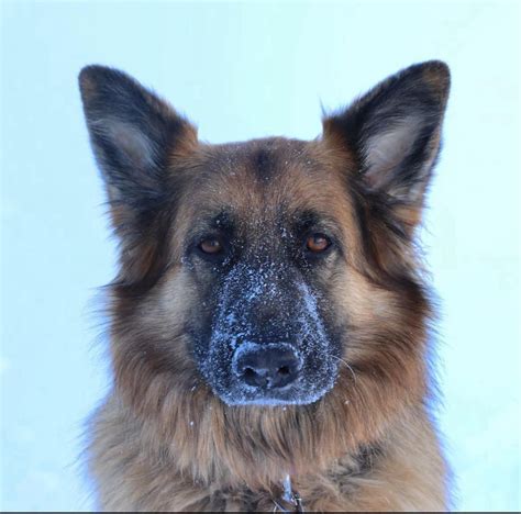 Joshua Bregler On Linkedin Cloudsecurity Security Cloud Devsecops