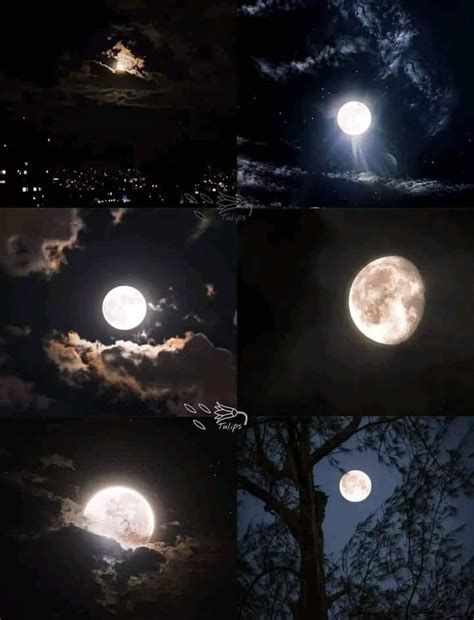 شي من الونس ️