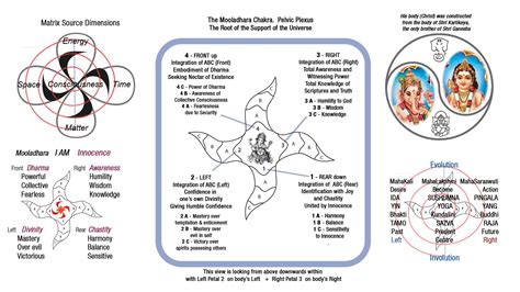 Mooladhara Chakra The Basics God Is At Your Fingertips