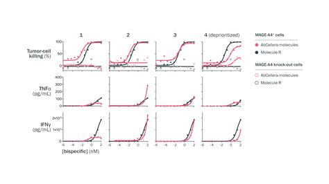 T Cell Engagers Targeting Peptide Mhcs Abcellera