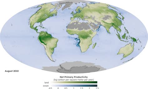 Esris Carbon Cycle Map Light Saturation And Hue Robert Simmon Posted On The Topic Linkedin