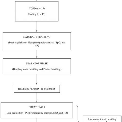 Experimental Protocol Download Scientific Diagram