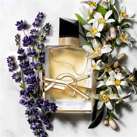 Nước Hoa Nữ Yves Saint Laurent YSL Libre EDP ml Vua Hàng Hiệu