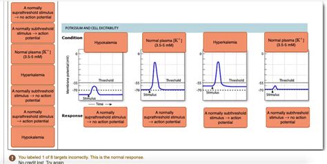 A Normally Suprathreshold Stimulus No Action Potential A Normally Subthreshold Stimulus