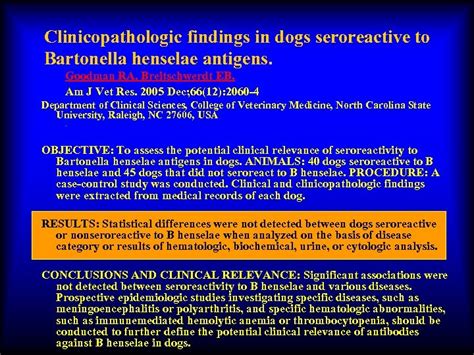 Cat Scratch Disease Bartonella Henselae בבני אדם Csd