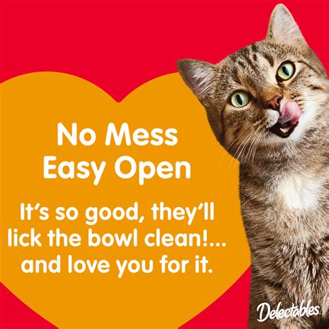 Delectables Bisque Senior Cat Food Hotsell