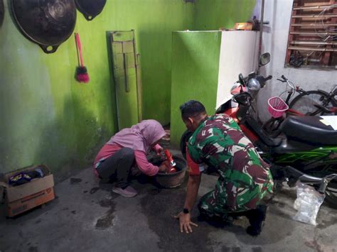 Survey Dbd Untuk Mengetahui Vektorserotype Virus Pada Nyamuk Dan