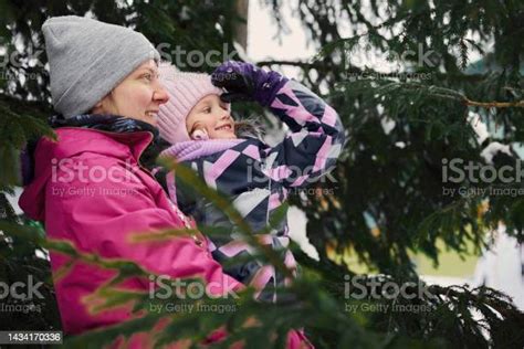 화창한 겨울날에 함께 시간을 보내는 어머니와 딸 소나무 가지로 둘러싸인 눈 덮인 숲에 서서 포옹하고 키스하는 겨울 방학을 즐기십시오 2명에 대한 스톡 사진 및 기타 이미지